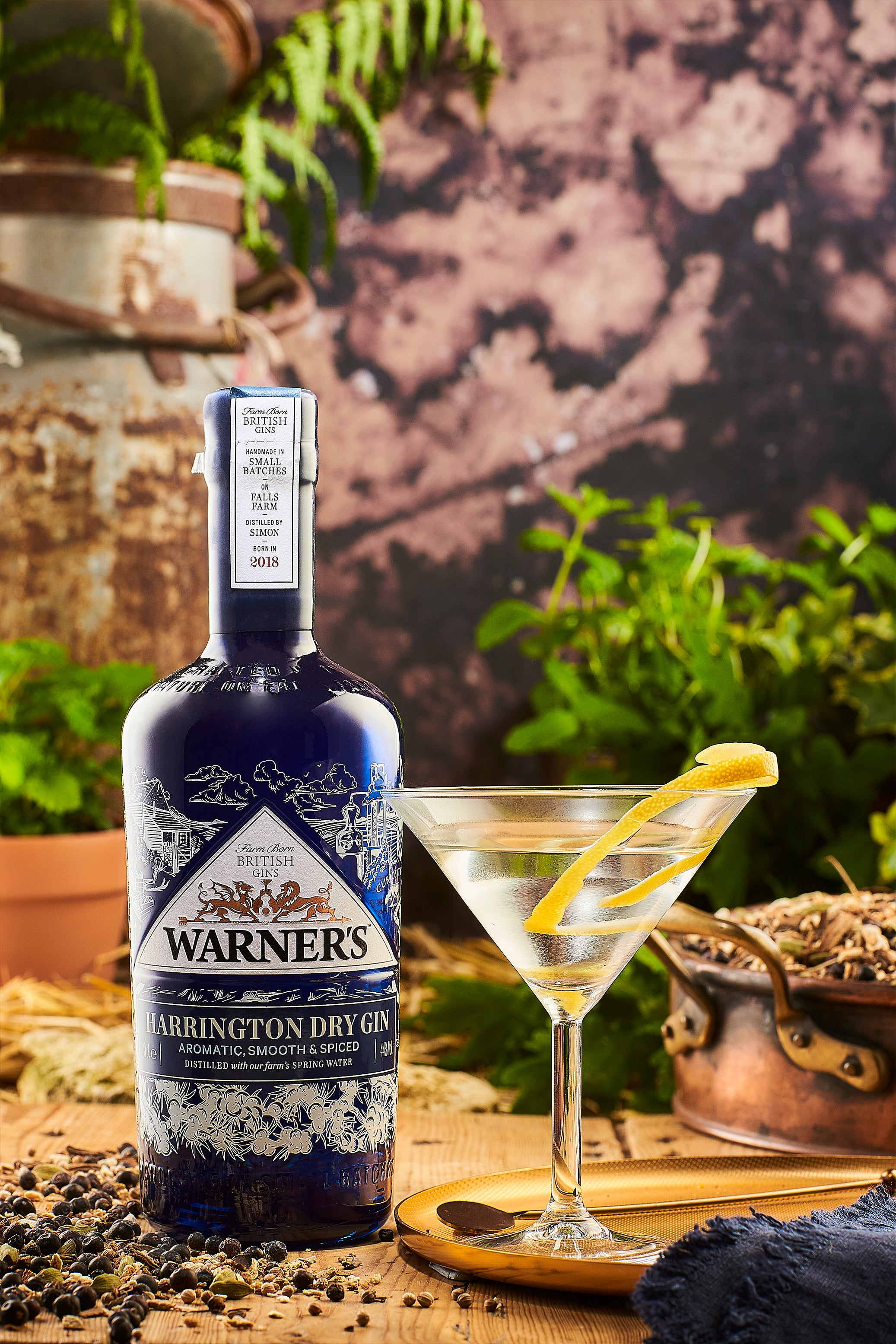 How to Make the Perfect Warner's Martini Gin Cocktail & Ingredients ...