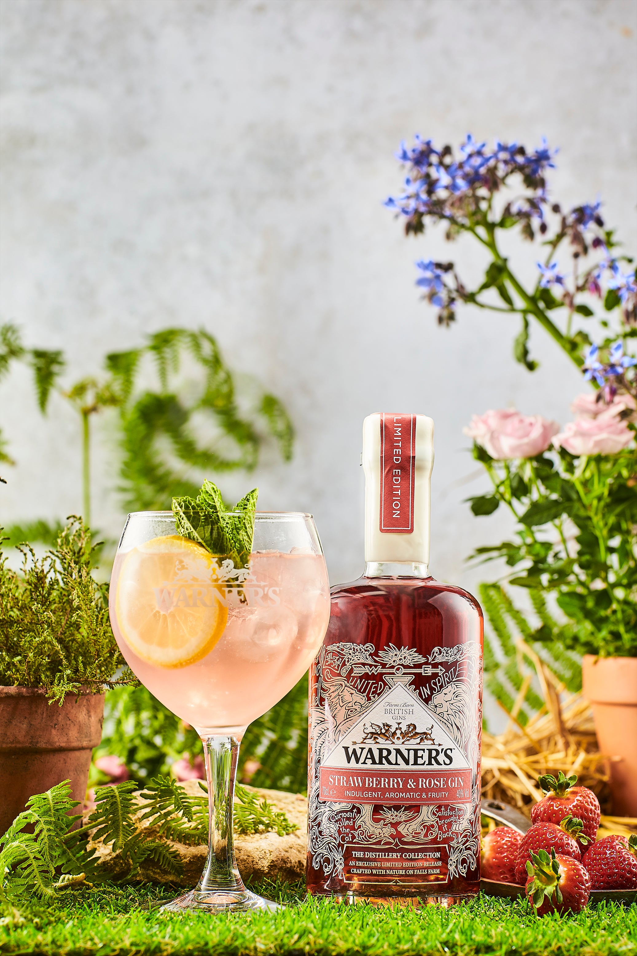 Strawberry & Rose Cocktails – Warner's Distillery Ltd