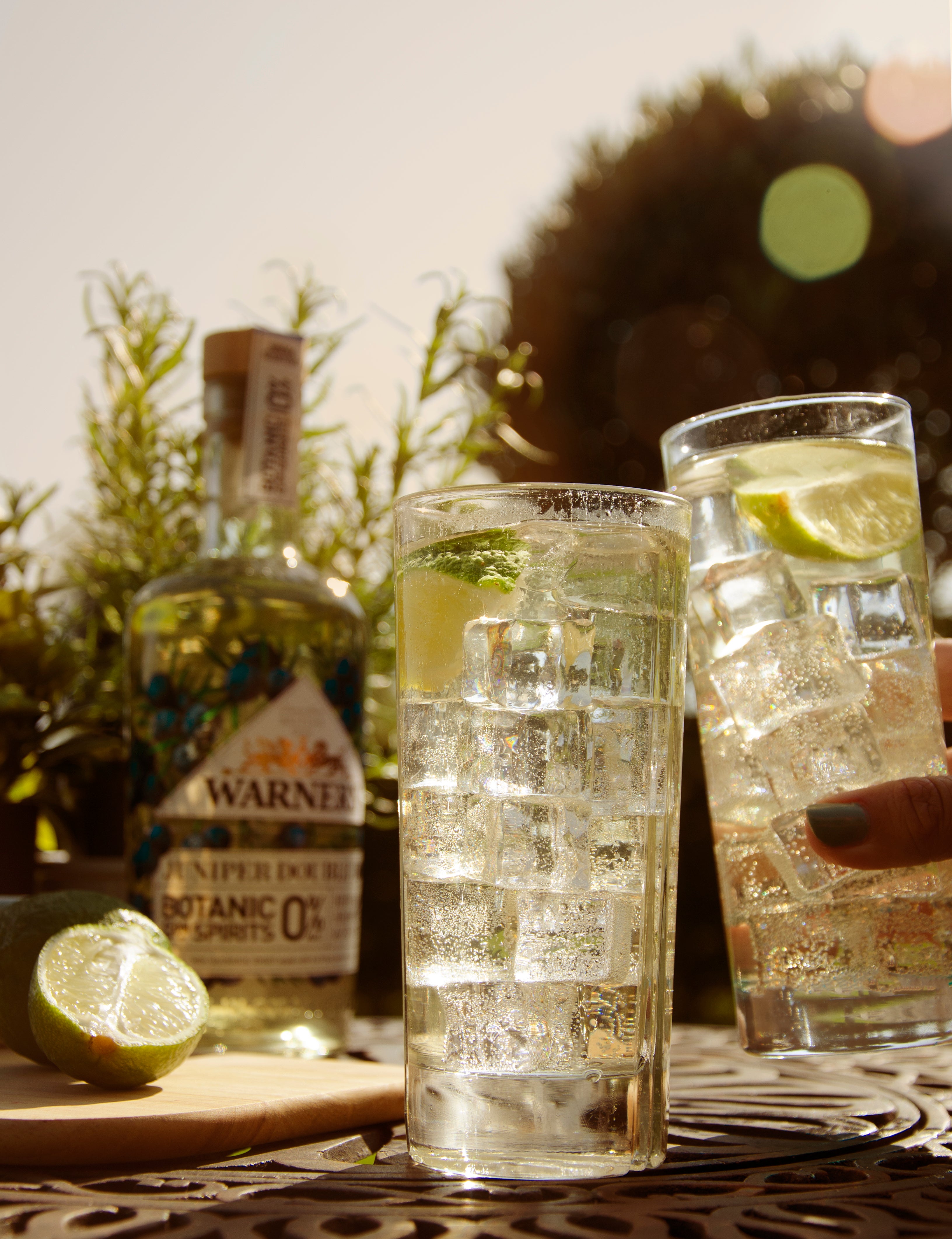 Spiced Fizzero – Warner's Distillery Ltd