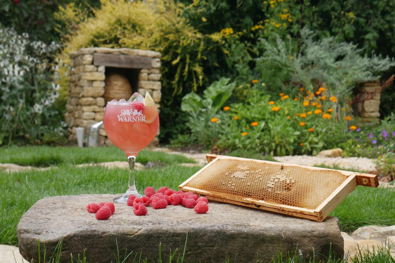 How to Make the Perfect Warner's Berry Buzz Gin Cocktail & Ingredients ...